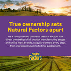 natural factors fiber for regularity