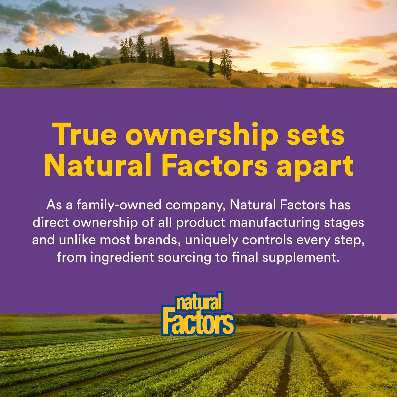 natural factors fiber for regularity