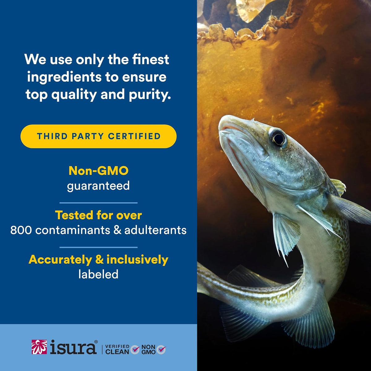 Natural Factors fish oil for wellness