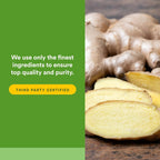 natural factors ginger for nausea