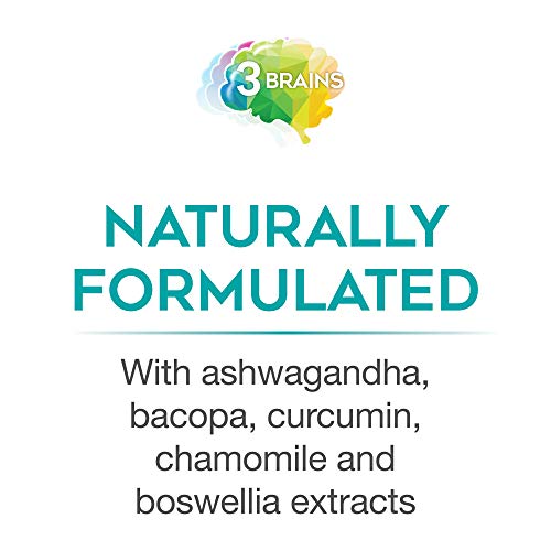 natural factors ginkgo biloba supplement