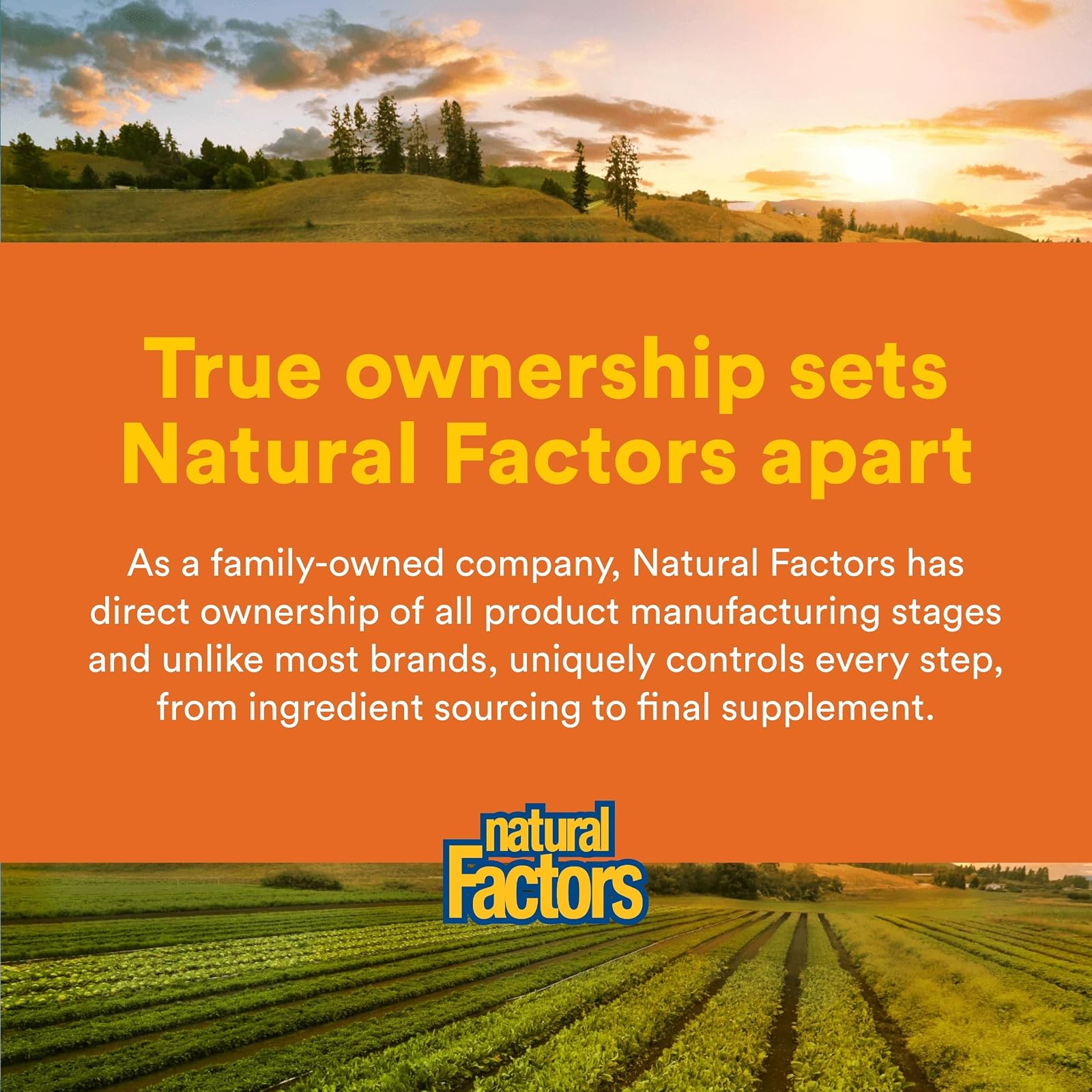 Natural Factors glucosamine supplement