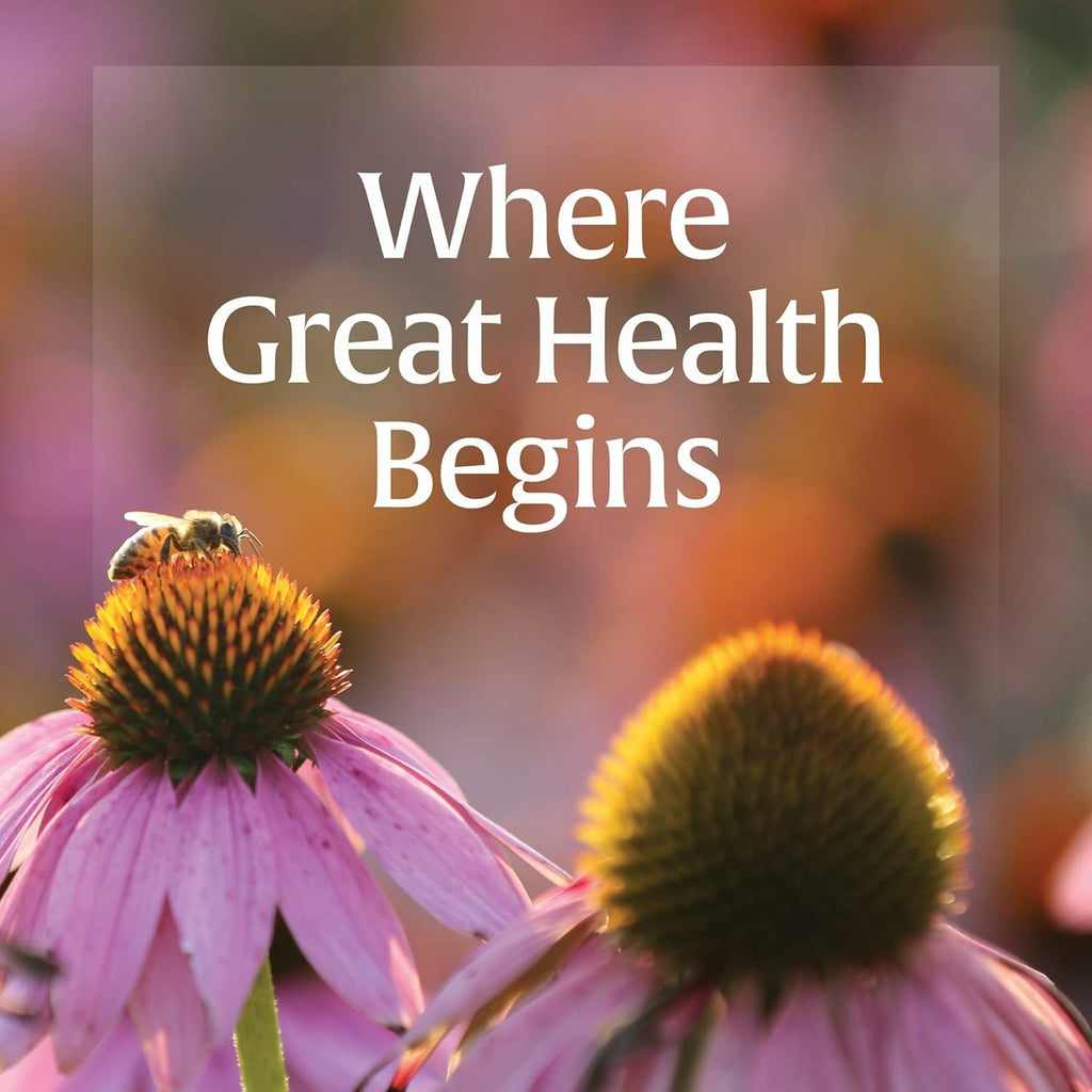 Natural Factors herbal immune booster