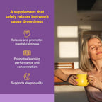 natural factors l-theanine for stress relief