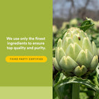 natural factors liver health booster
