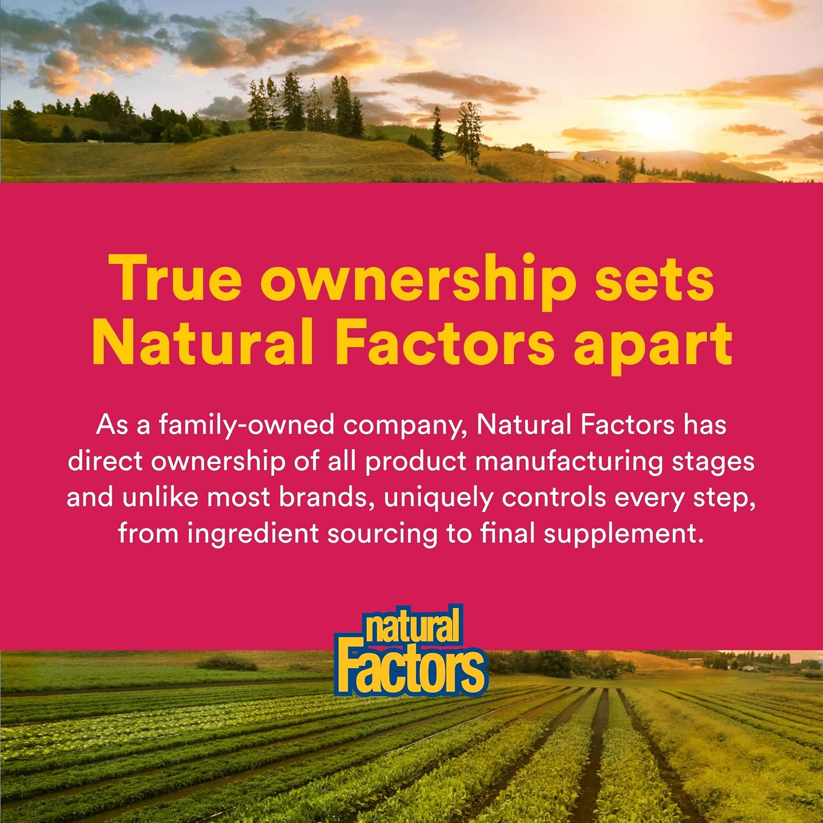 Natural Factors minerals for wellness