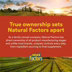 Natural Factors multivitamin for active lifestyle