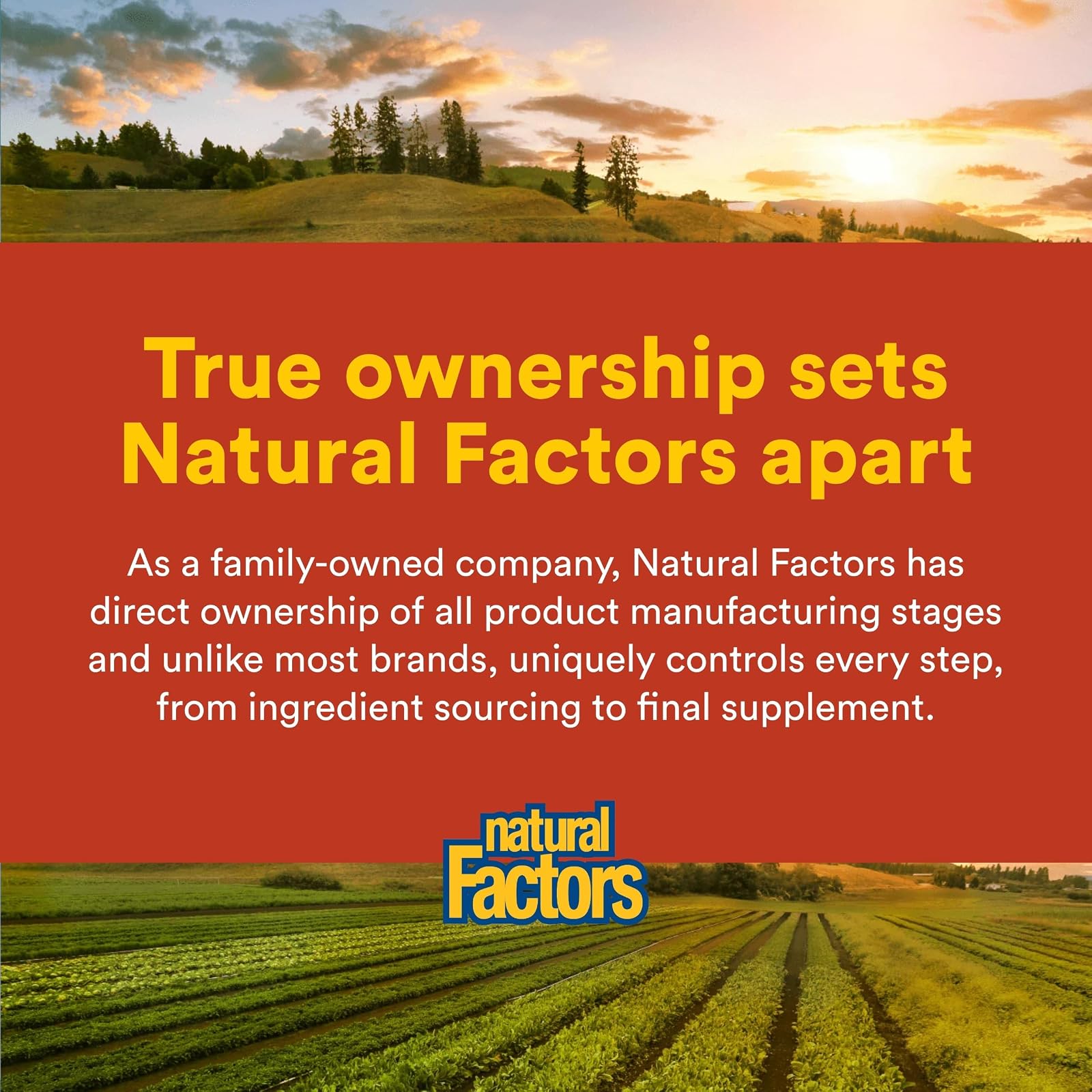 Natural Factors multivitamin for active lifestyle