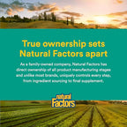 Natural Factors multivitamin for maternal health