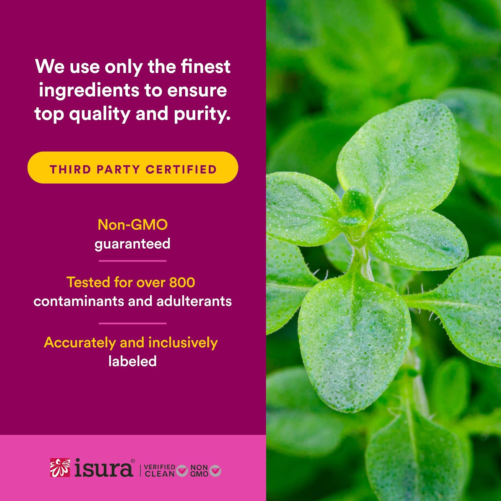 natural factors oil of oregano uses