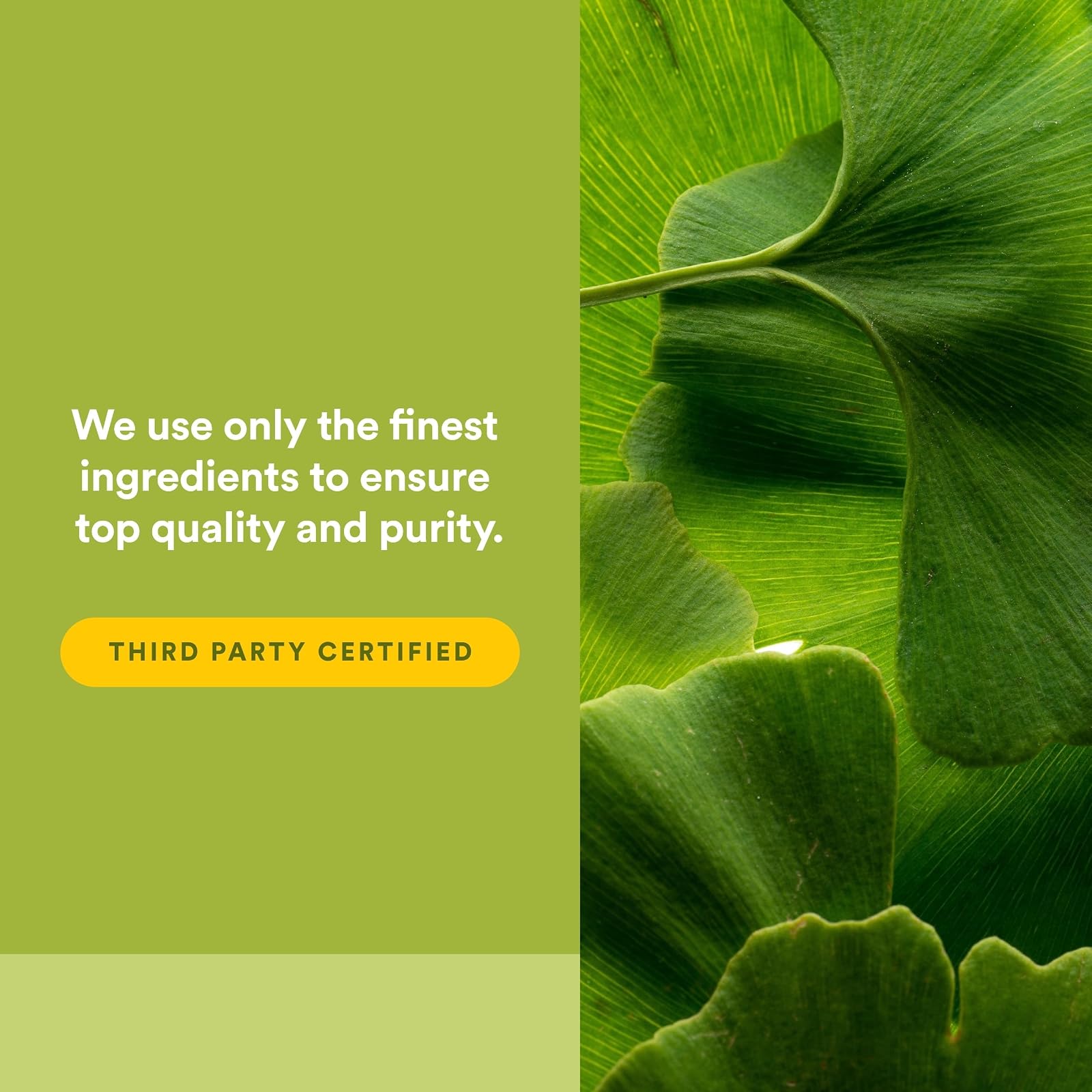 natural factors sleep support supplement