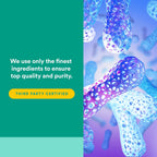 Natural Factors ultimate probiotic benefits