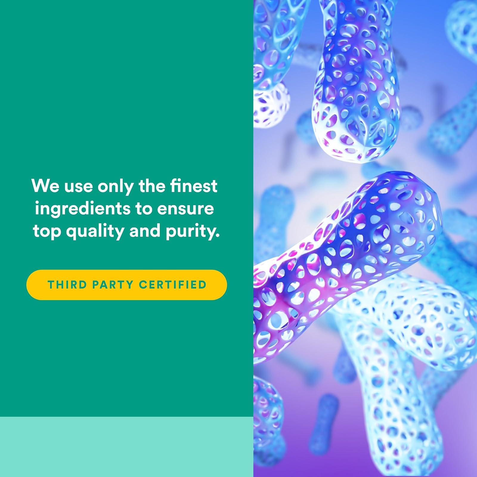 Natural Factors ultimate probiotic benefits