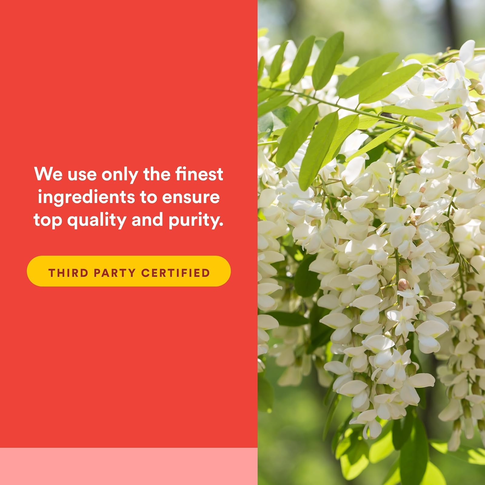 Natural Factors zinc for seasonal allergies