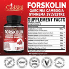 natural fat burner for weight loss