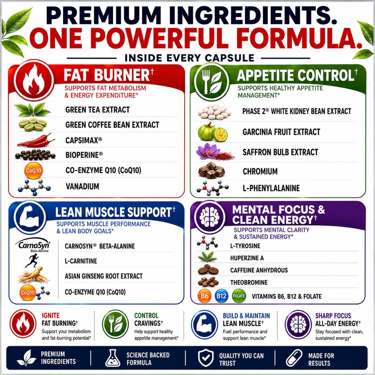 natural fat burners for energy boost