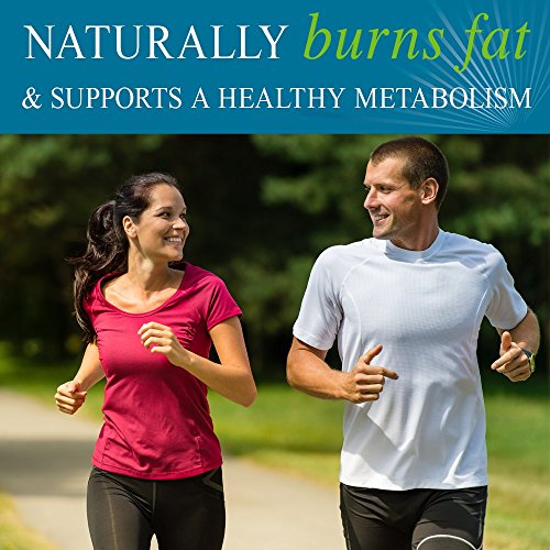 natural fat burners for healthy lifestyle