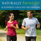 natural fat burners for healthy lifestyle