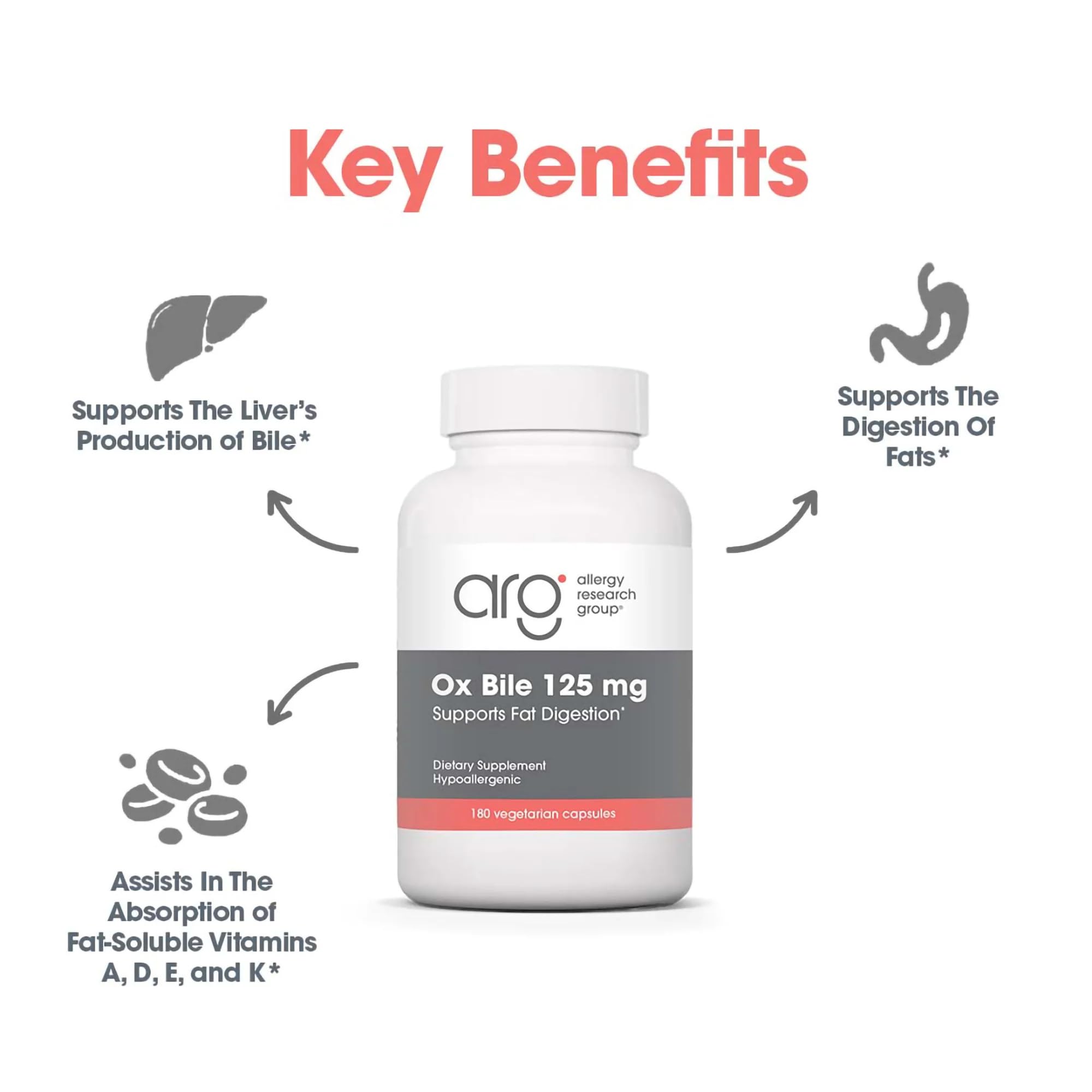 natural fat digestion aid with enzymes