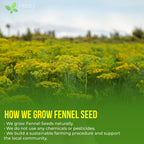 natural fennel tea for relaxation