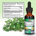 Natural Feverfew for headache relief