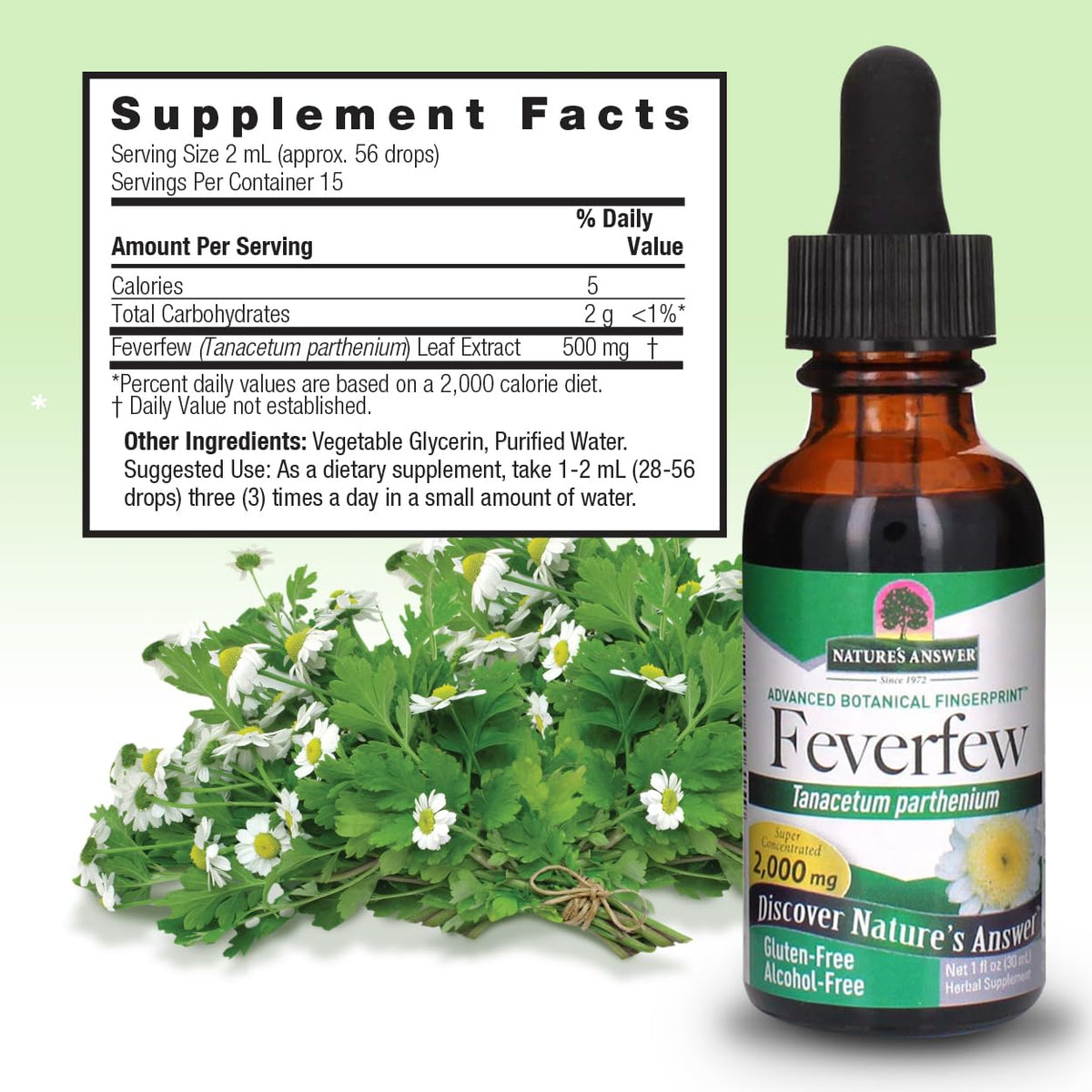 Natural Feverfew for headache relief
