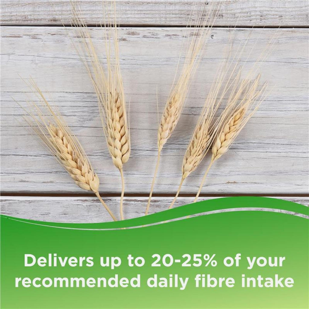 Natural fiber supplement for daily use