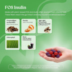 natural fiber supplement for digestion