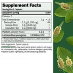 natural fiber supplement for digestion