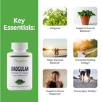 natural fiber supplement for digestion