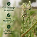 natural fiber supplement for gut health