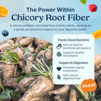 Natural fiber supplement for gut health