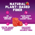 natural fiber supplement gummies for wellness