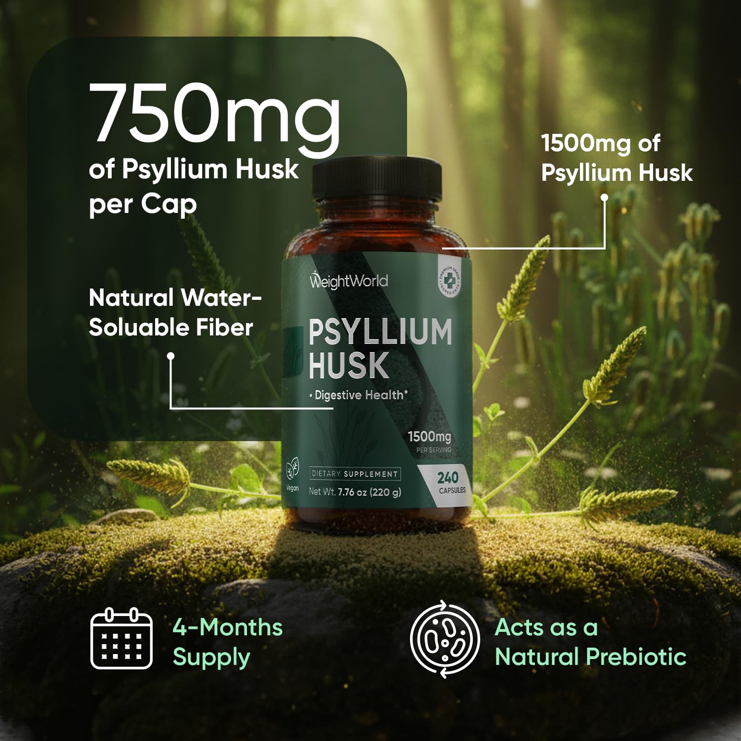 Natural fibre supplement psyllium husk