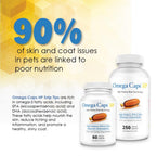 natural fish oil for daily wellness