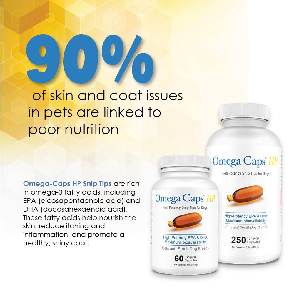 natural fish oil for daily wellness