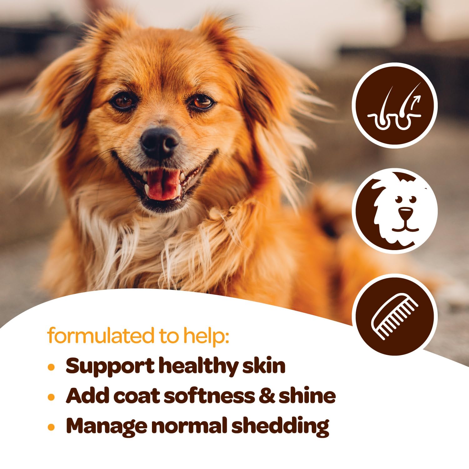 natural fish oil for dogs