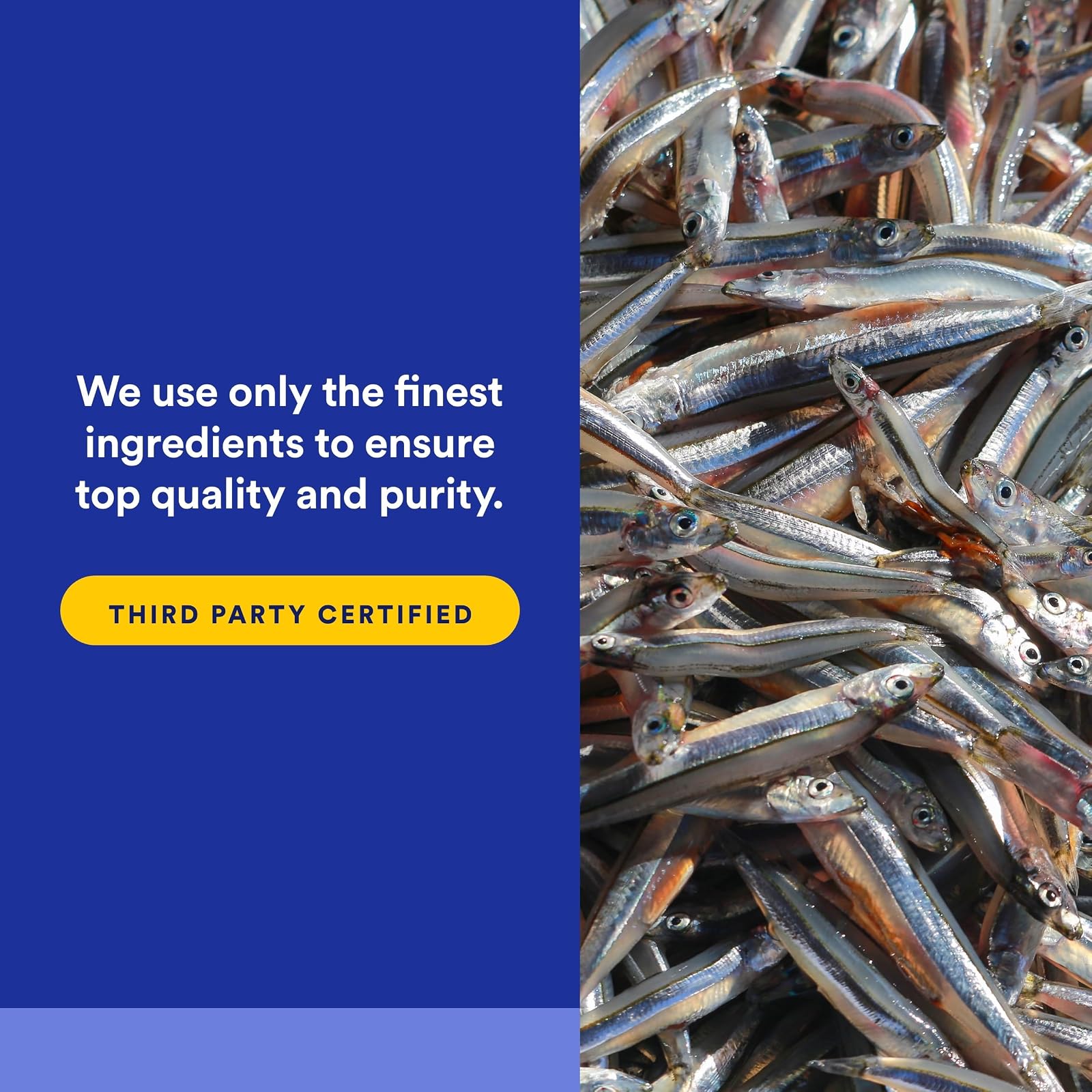 natural fish oil for joint support