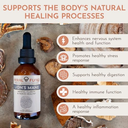 natural flavor mushroom health tonic