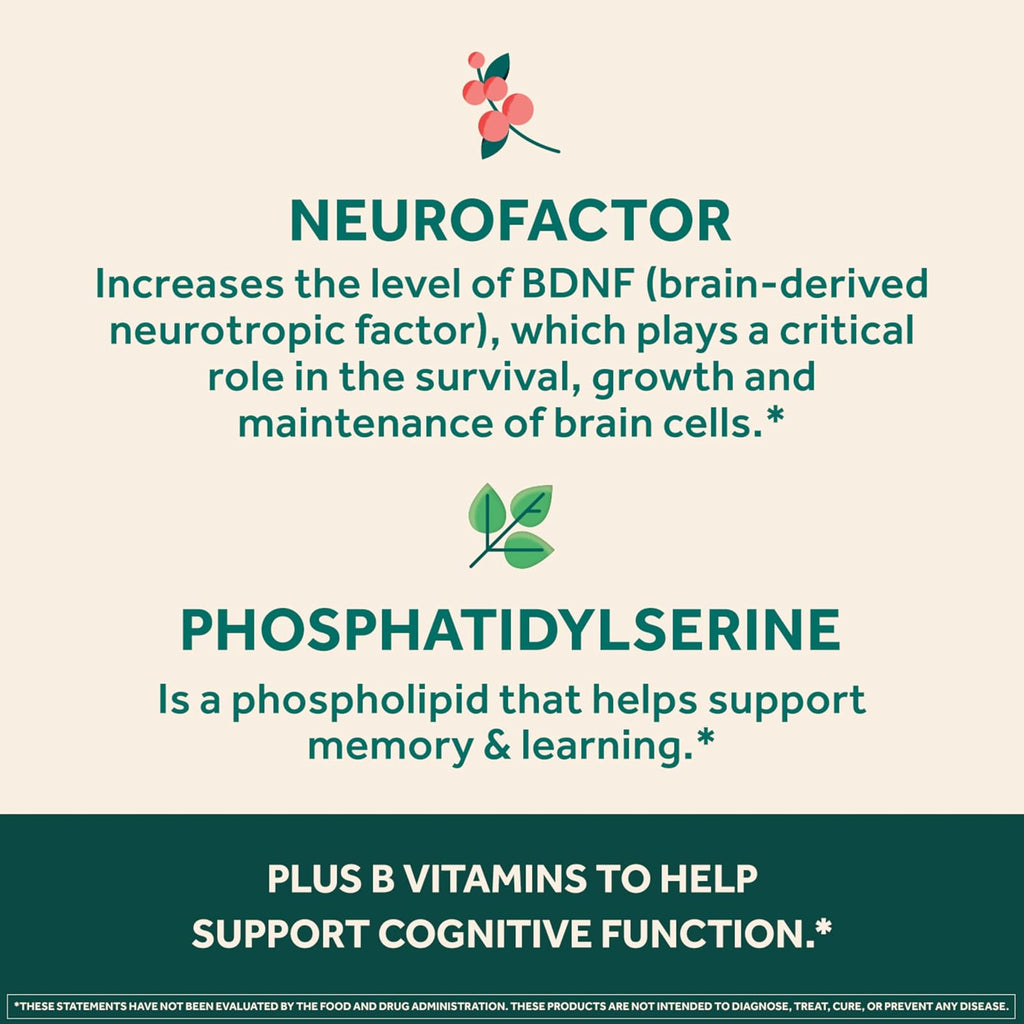 Natural focus aid vitamin B6