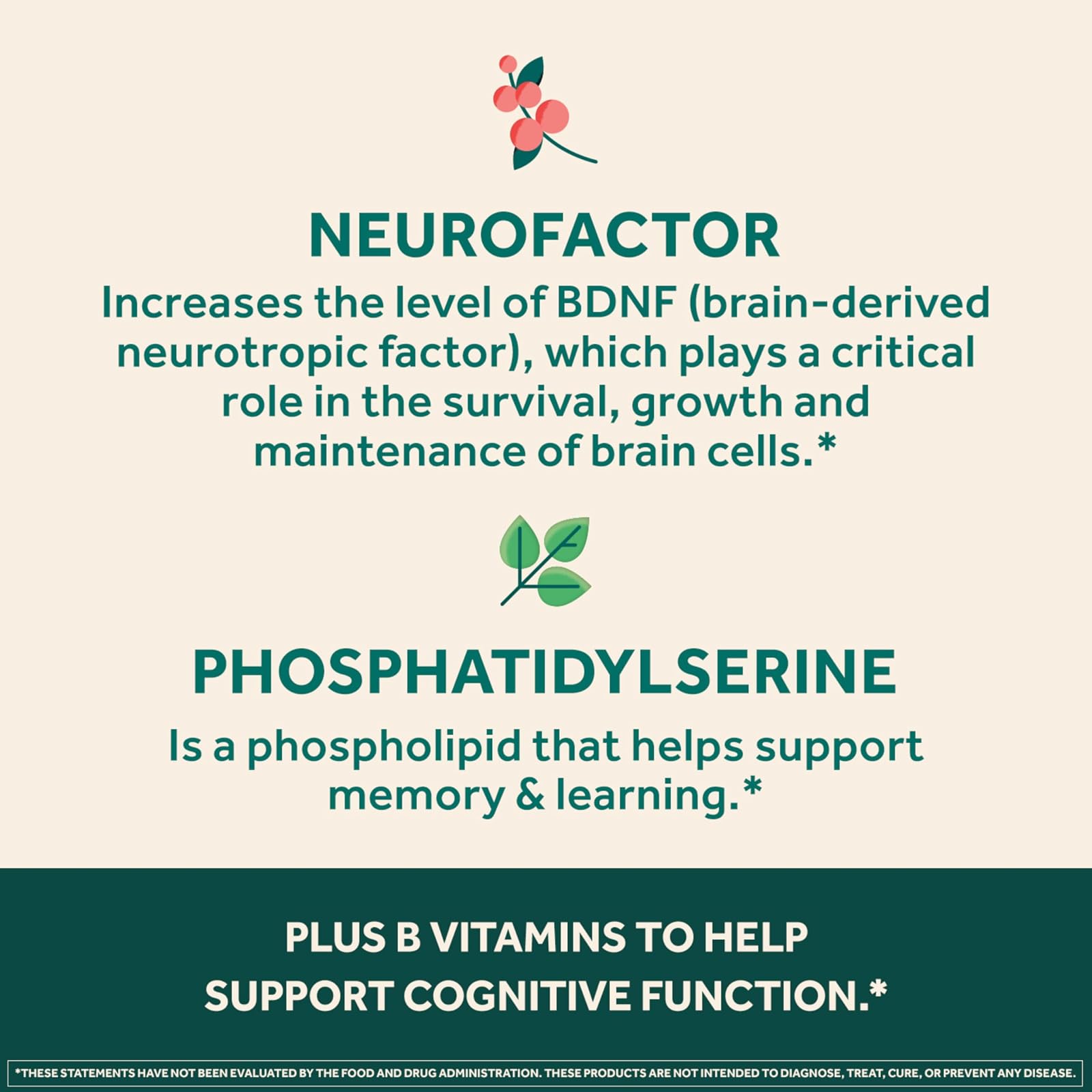 Natural focus aid vitamin B6