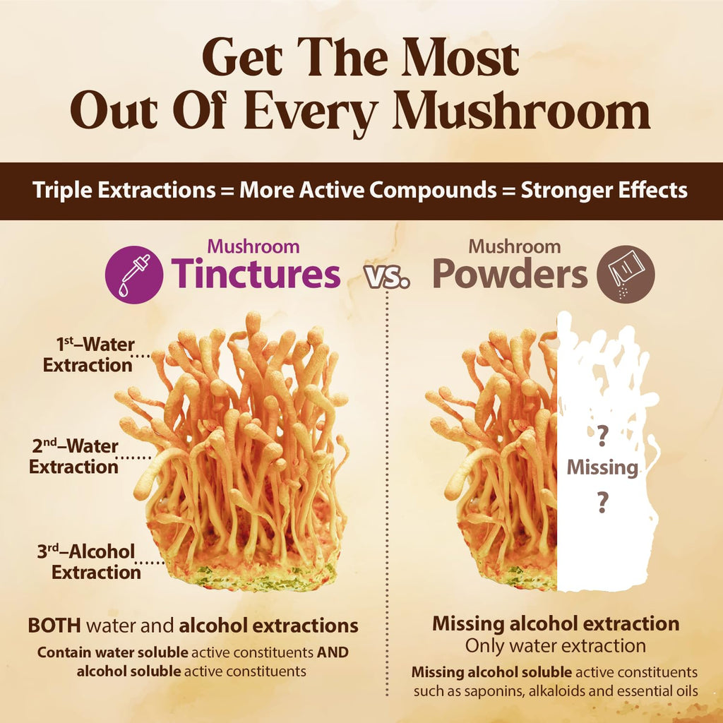 Natural focus aid with Cordyceps