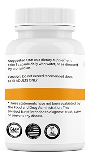natural focus aid with L-Theanine