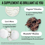 Natural focus booster for busy days