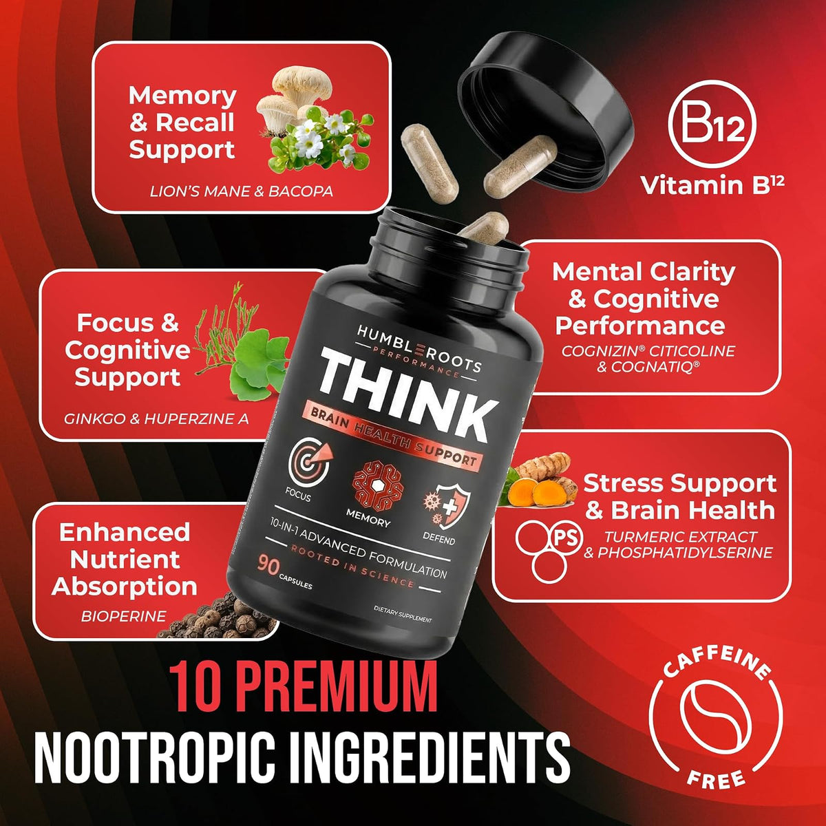 Natural focus enhancer with Lion's Mane