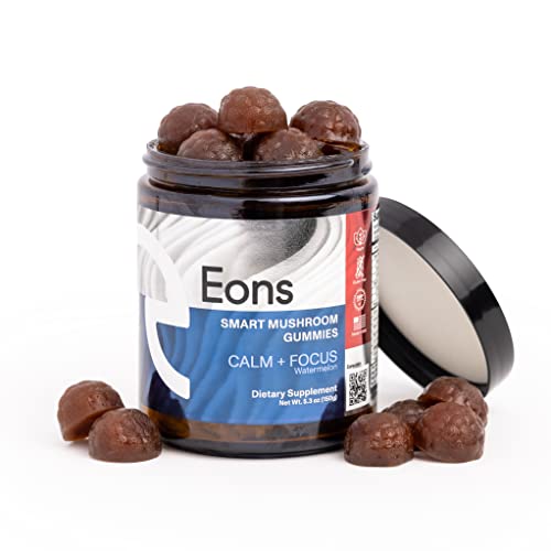 Natural focus enhancing mushroom supplements