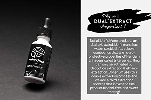 Natural focus supplement with mushrooms