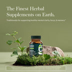 natural focus with ginkgo biloba