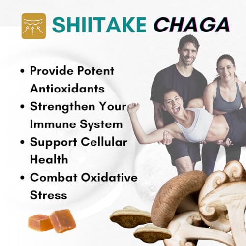 natural focus with mushroom extract