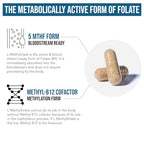 natural folate for healthy pregnancy